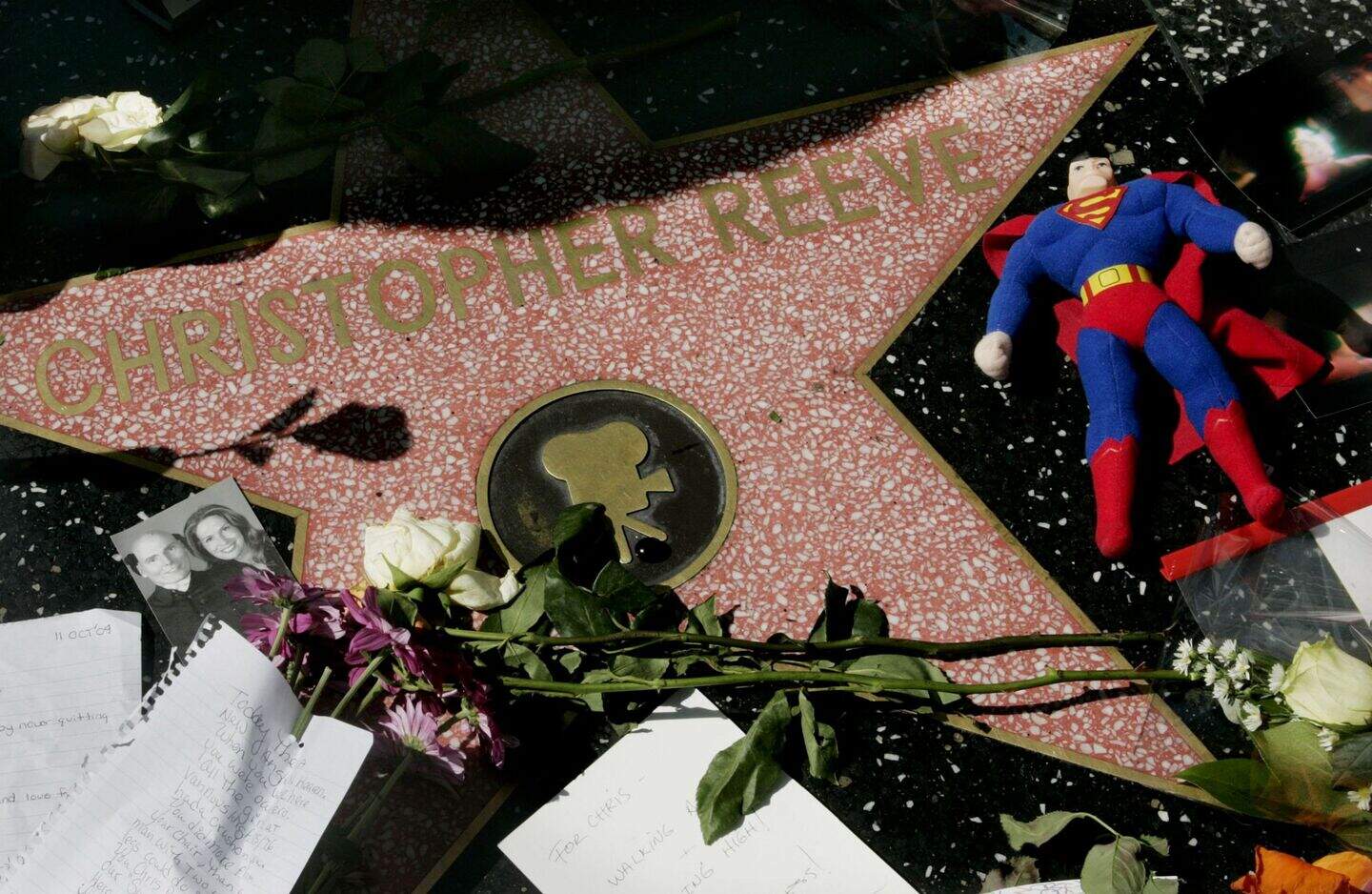Is it a bird, is it a plane? No, it’s Christopher Reeve – the actor ...