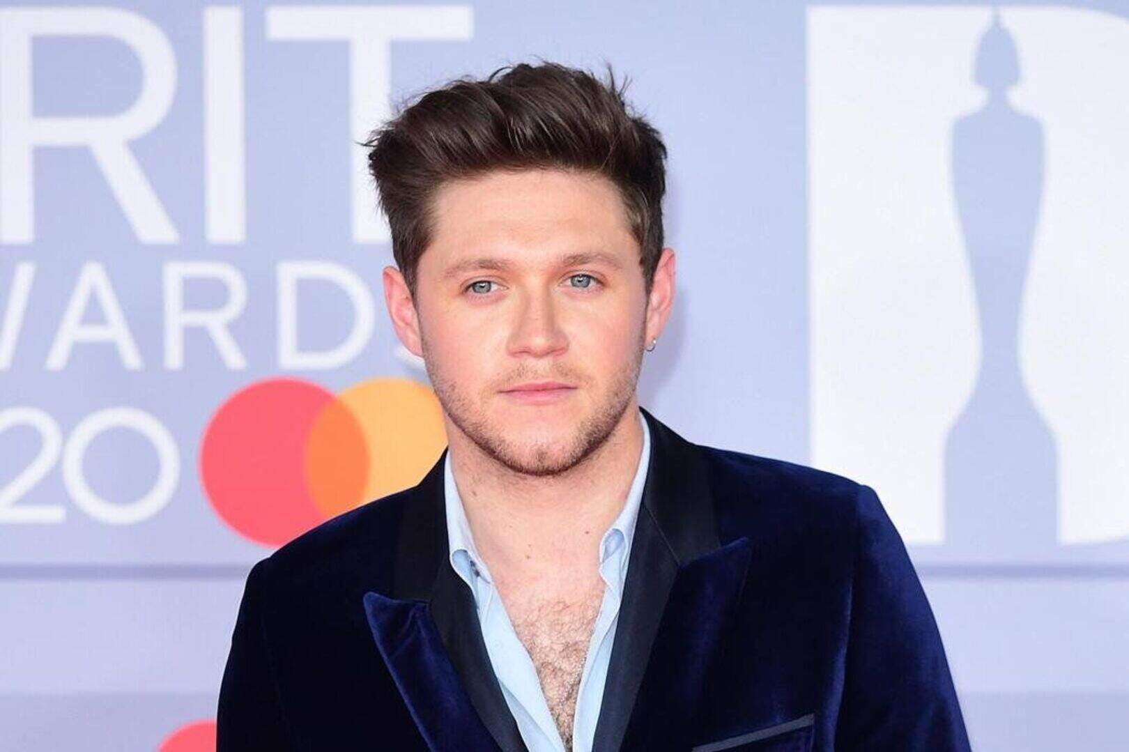 Inside Niall Horan’s Mullingar mansion selling for €775,000 | Irish ...