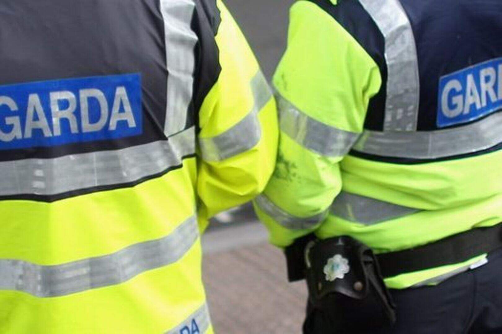Safety group says 15pc drop in garda road policing numbers is ‘heart ...