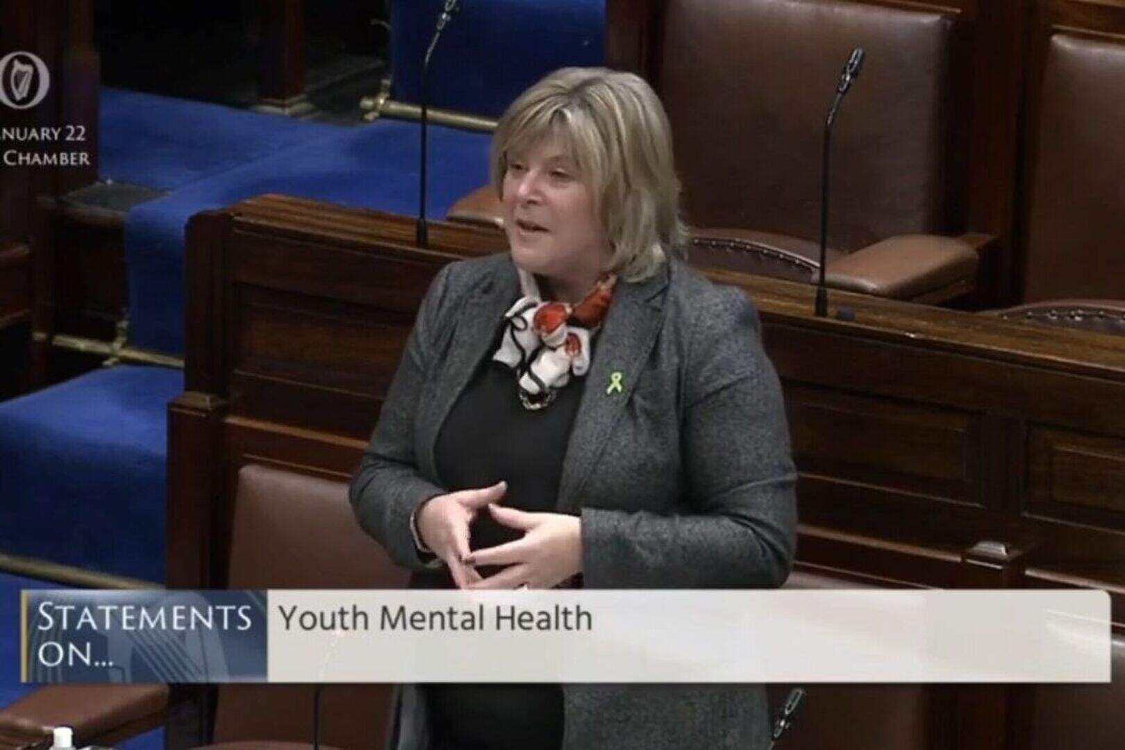 Mental health services 'failed our children and young people in Kerry ...