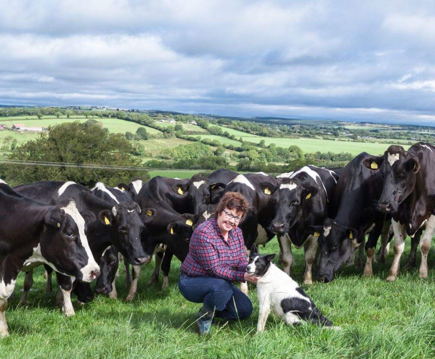 ‘The real effect will be felt next spring’: Dairy farmers brace for ...