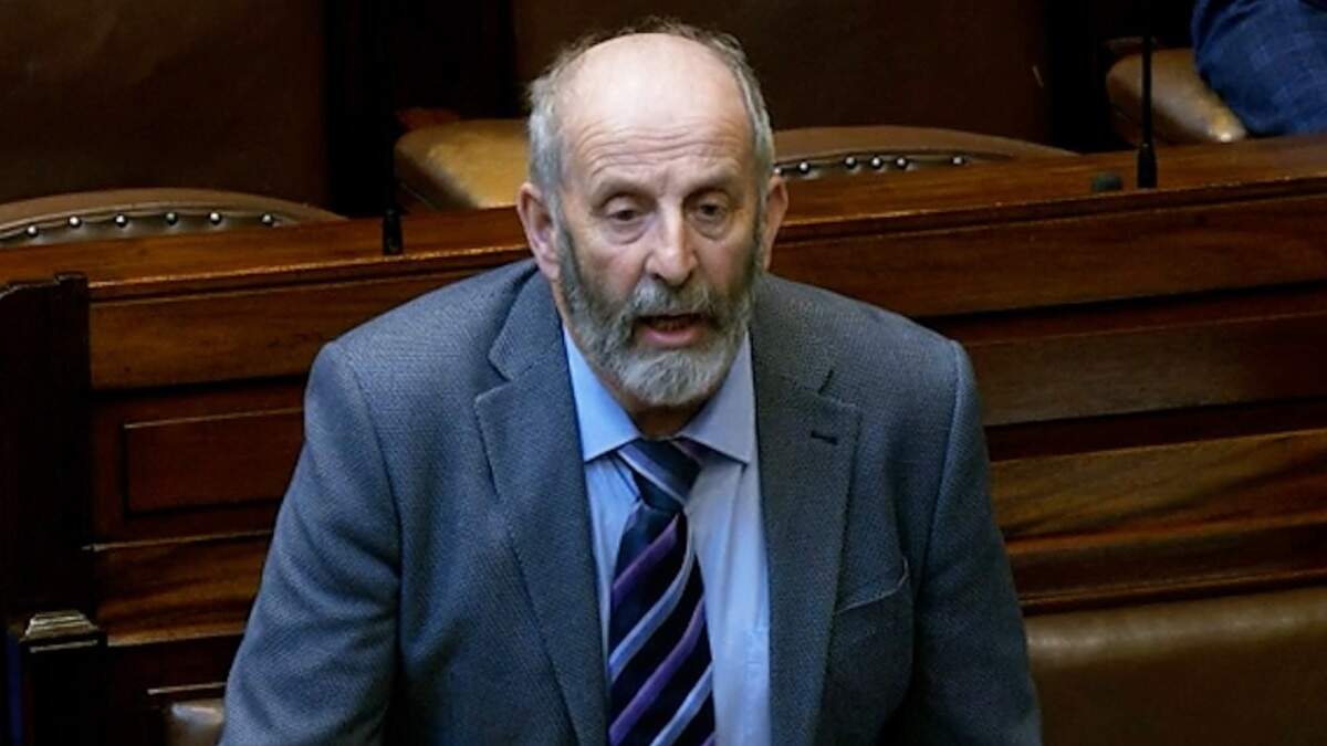 TD Danny Healy-Rae compares Israel-Hamas conflict to a 3am fistfight in ...