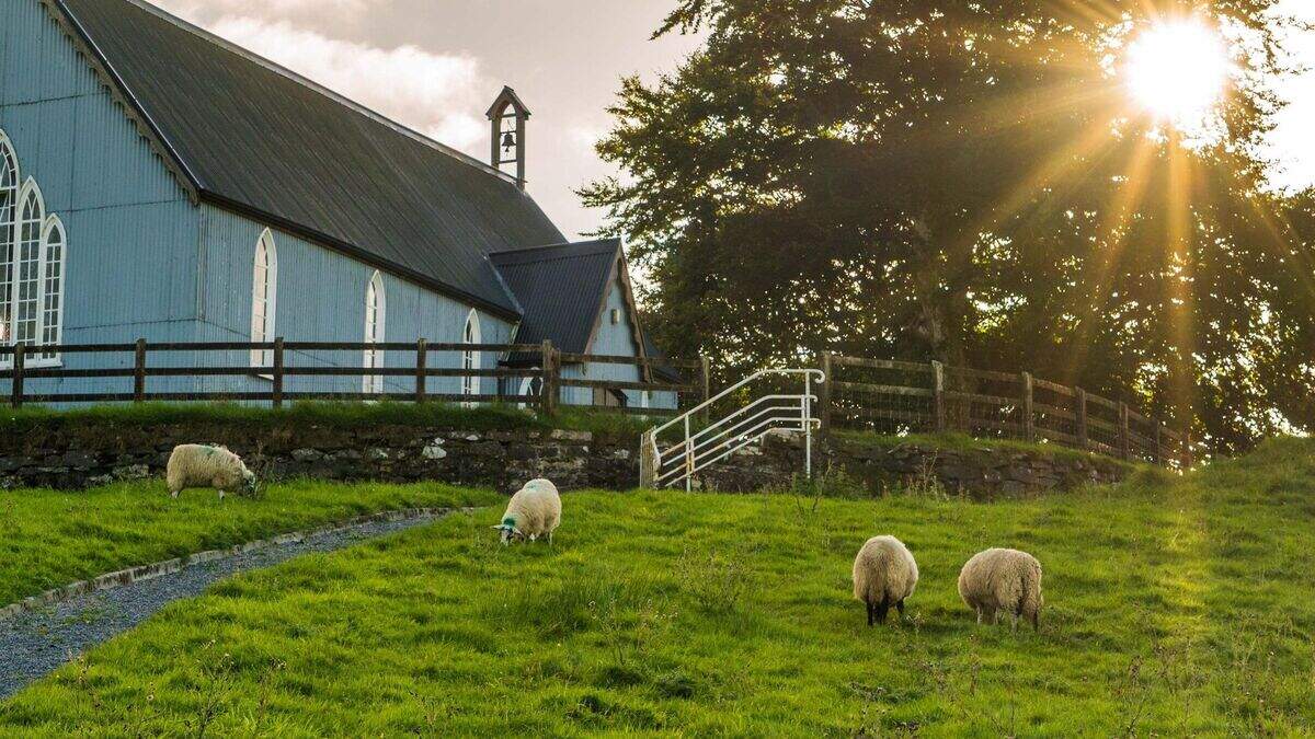 Tom Staunton: Tips to ensure a good bank of grass to flush ewes before ...