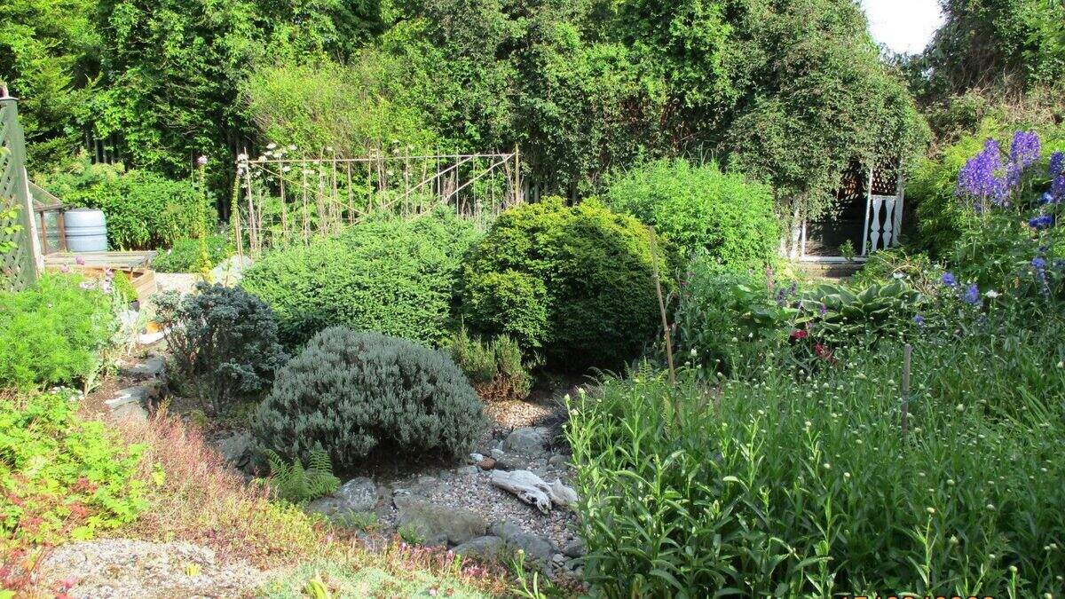 Dundalk couple opening their garden to raise funds for North Louth ...
