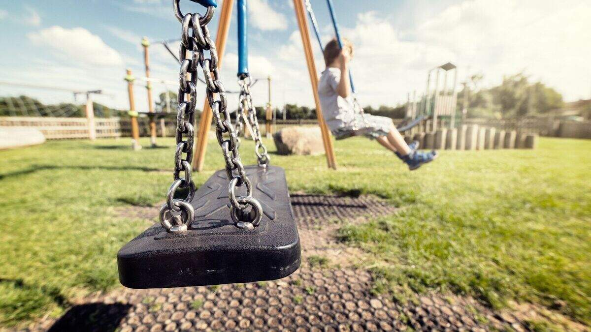Concerns raised over damaged playground equipment at popular Louth park ...