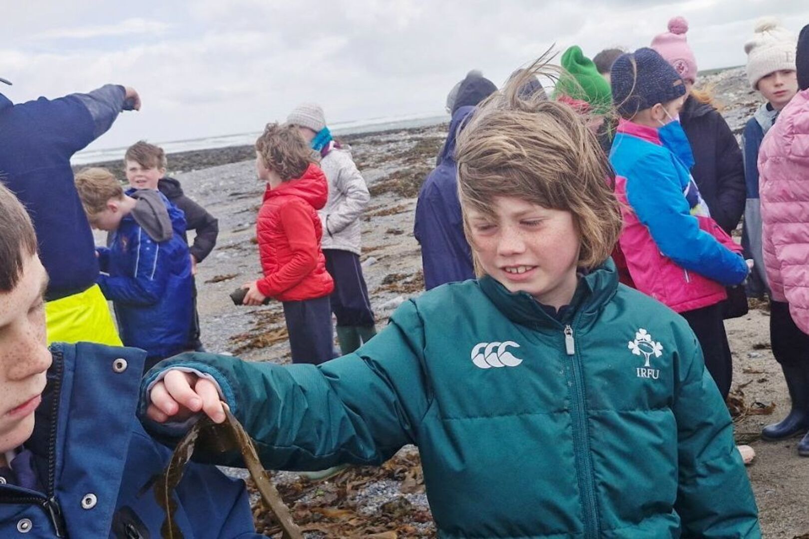 Local Sligo schoolchildren explore seaweed reefs for National ...