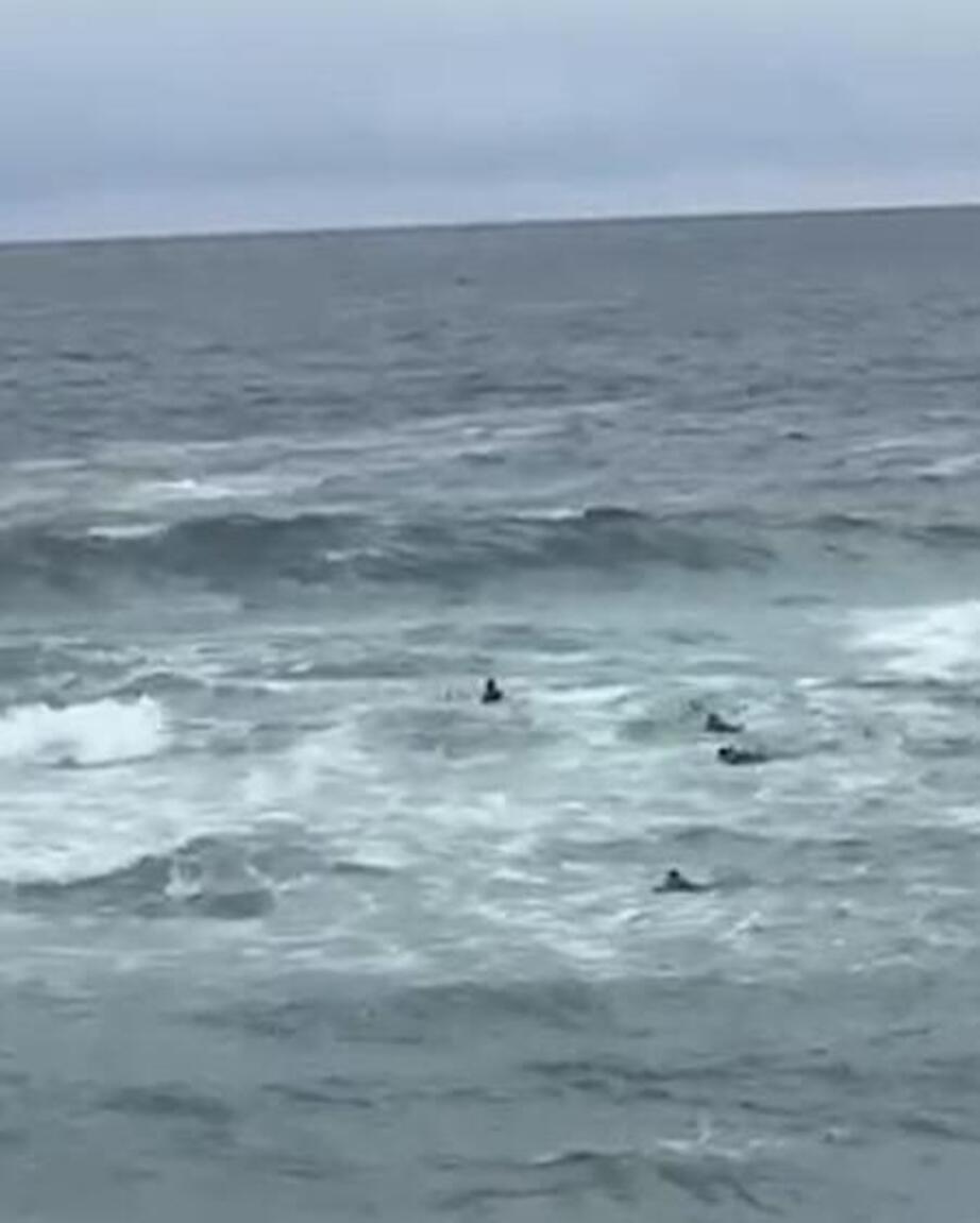 Kerry surfers save children from dangerous current - ‘Those four boys ...