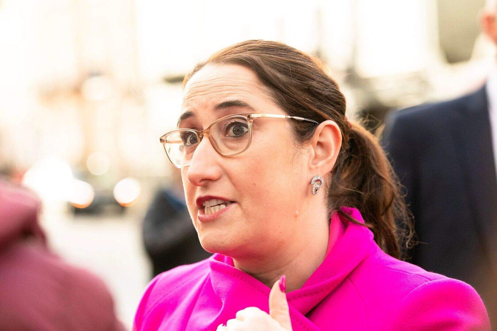 Most businesses yet to sign up for free money under €257m government ...