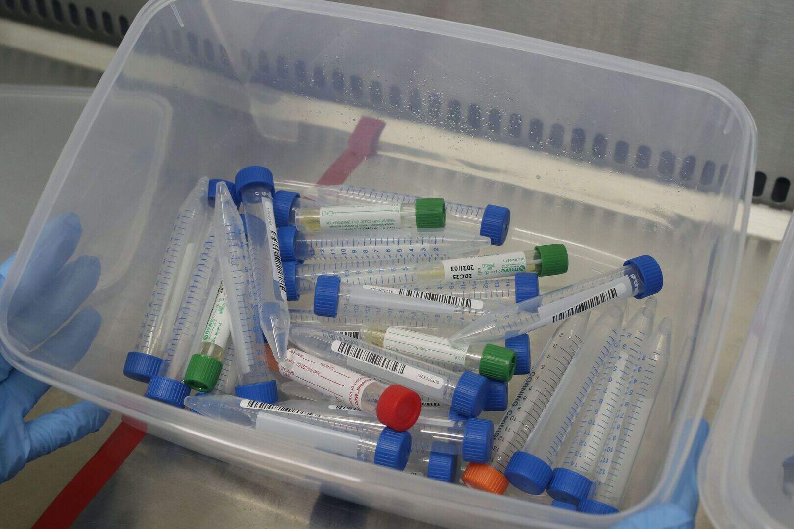 Covid-19 research projects will get five million euros injection ...