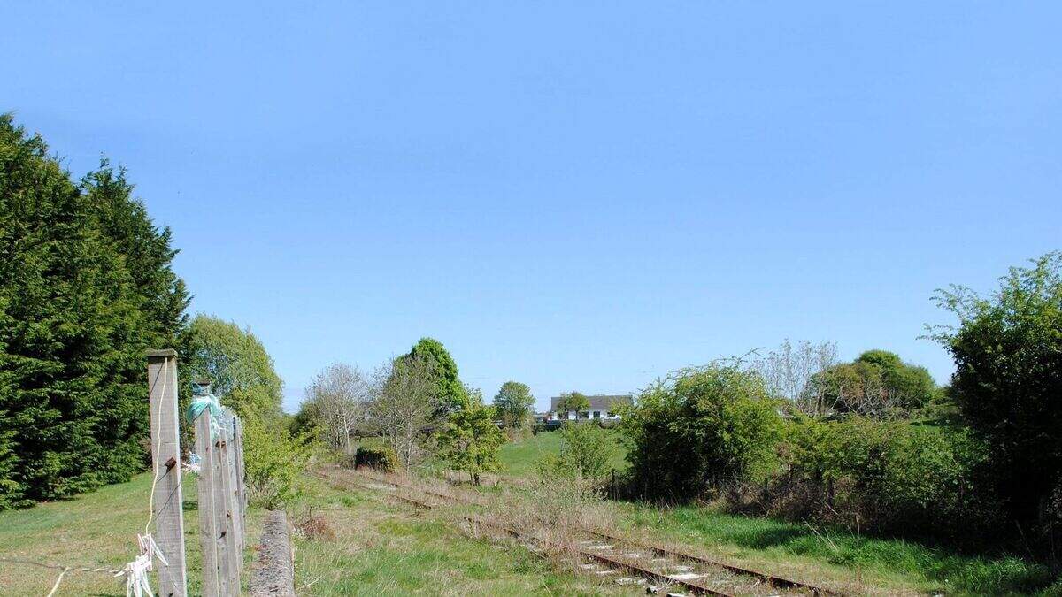 Western Rail Corridor a priority under new transport plan with N17 also ...