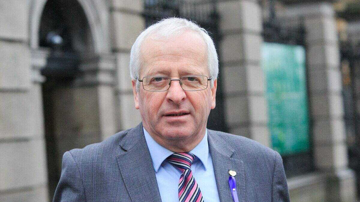 TD Mattie McGrath criticised by Auschwitz Museum for comparing indoor ...