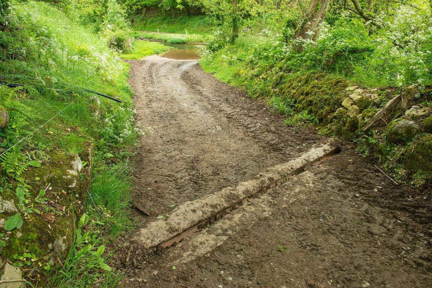 ‘Small changes on the farm can make a big difference to water quality ...