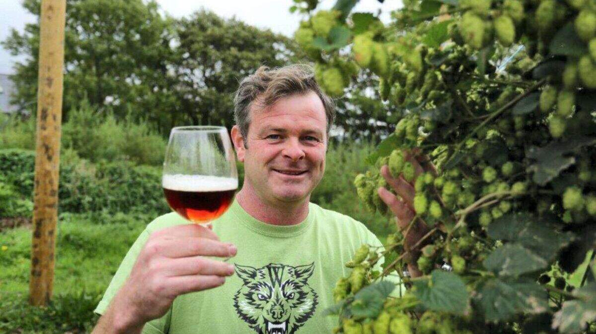 Expensive licensing laws holding Irish microbrewers back | Irish ...