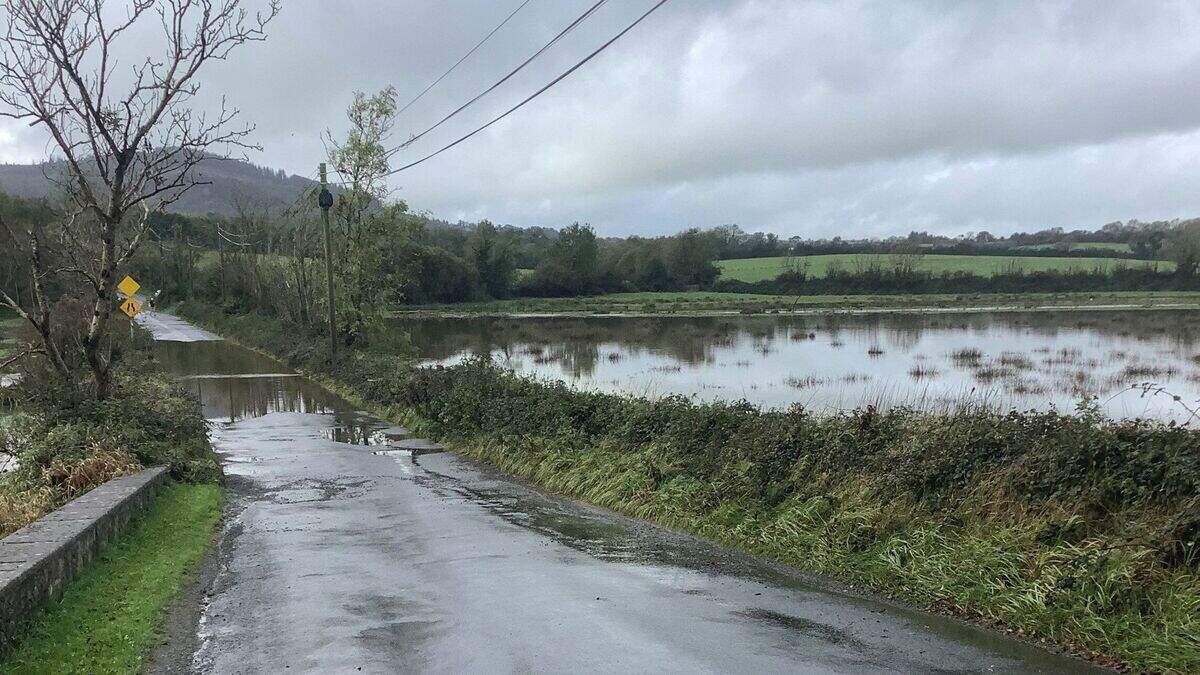 Flood warning system for Co Wexford river is expected to be in place by ...