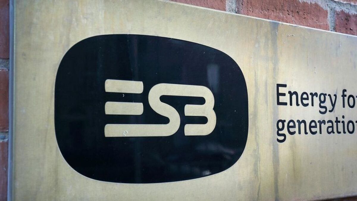 ESB apologises for overcharging householders but blame game continues ...