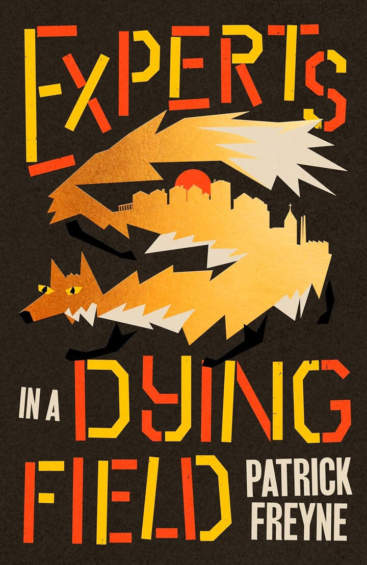 ‘Experts in a Dying Field’ review: Patrick Freyne puts band back ...
