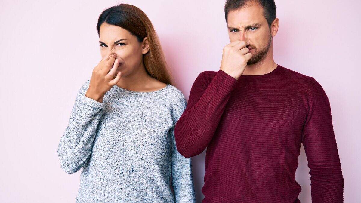 Farting may not be on brand if you’re the Shiny New Girlfriend but ...