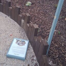 Carlow community garden targeted by mindless vandals | Irish Independent