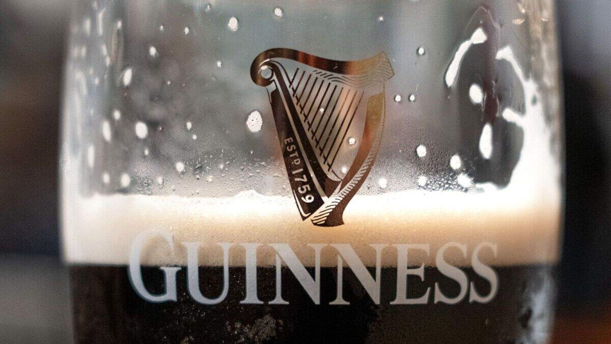 Price of a pint of Guinness to rise again from next month, as vintners ...