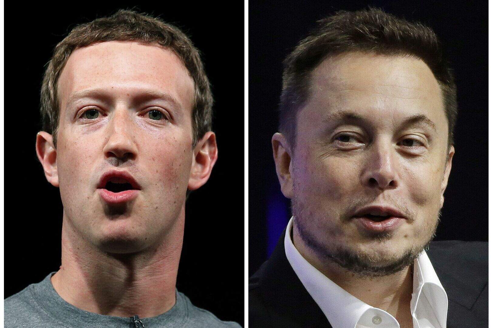 Twitter’s Elon Musk fluffs his lines in cage bout with Meta’s Mark ...