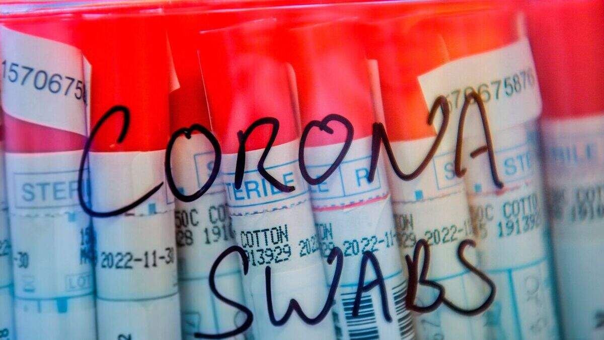 A further 69 people test positive for coronavirus in Ireland - brings ...