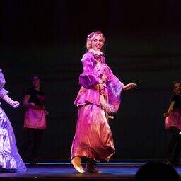 Wexford Pantomime Society’s ‘Rapunzel and the League of Princesses’ is ...