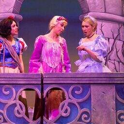 Wexford Pantomime Society’s ‘Rapunzel and the League of Princesses’ is ...