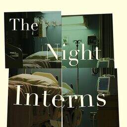 Dublin-set hospital drama The Night Interns has echoes of Adam Kay’s ...