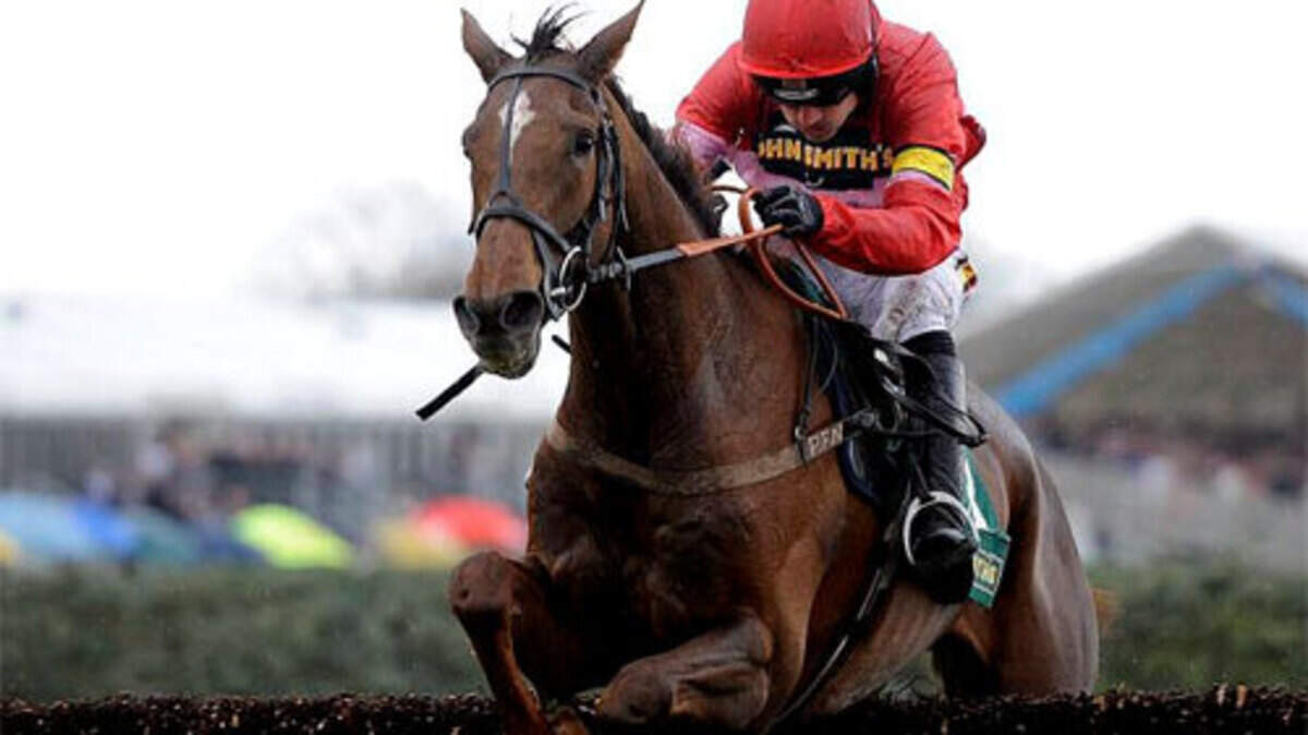 Walsh aiming for midweek comeback at Cheltenham | Irish Independent