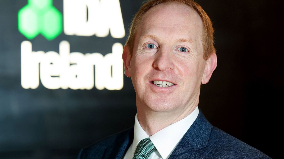 IDA boss Michael Lohan clocked up almost 60,000 air-miles last year ...