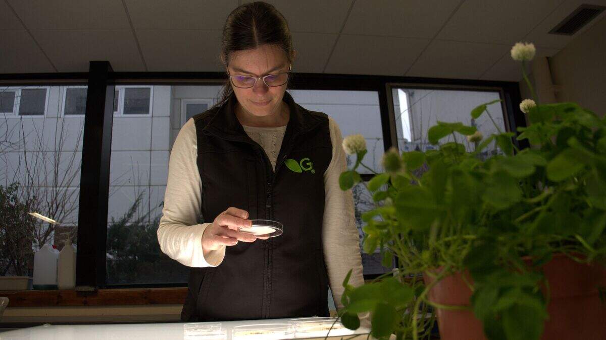 New €4m research project aims to triple clover’s ability to fix ...