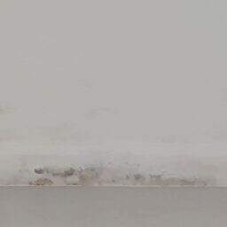 Residents of Dundalk apartment complex Halliday Mills say their ...