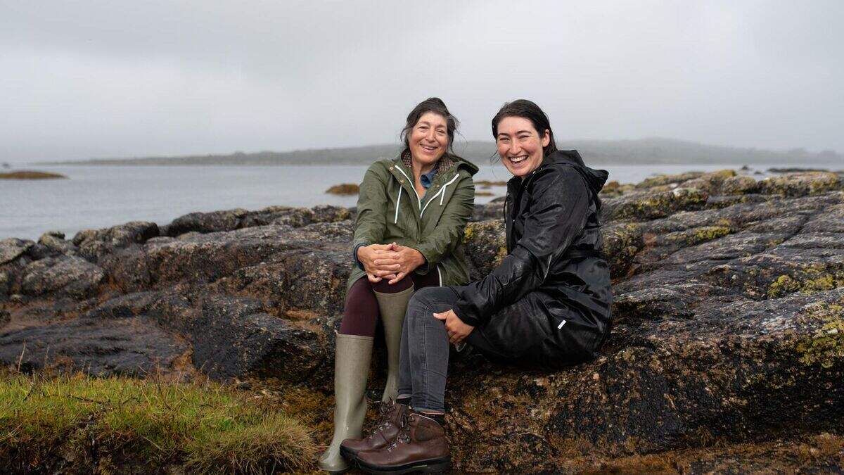 From Connemara abalone to Carlow snails and Irish tea, meet the people ...