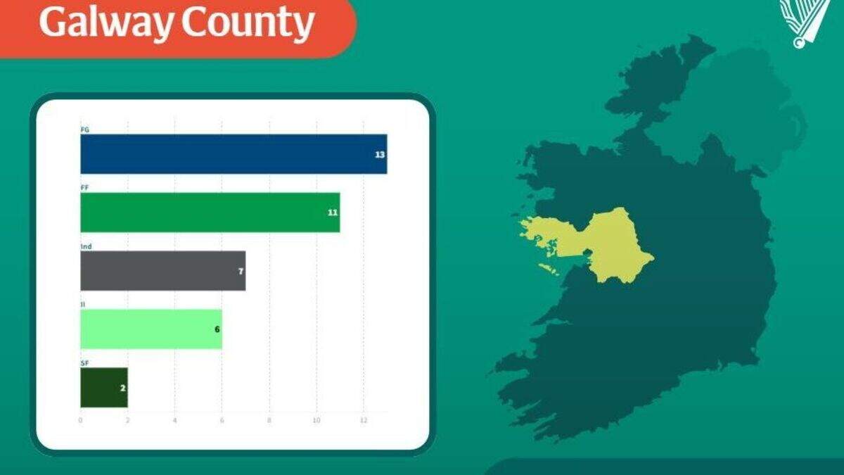 Local elections 2024 Galway county: Count complete as all Connemara ...