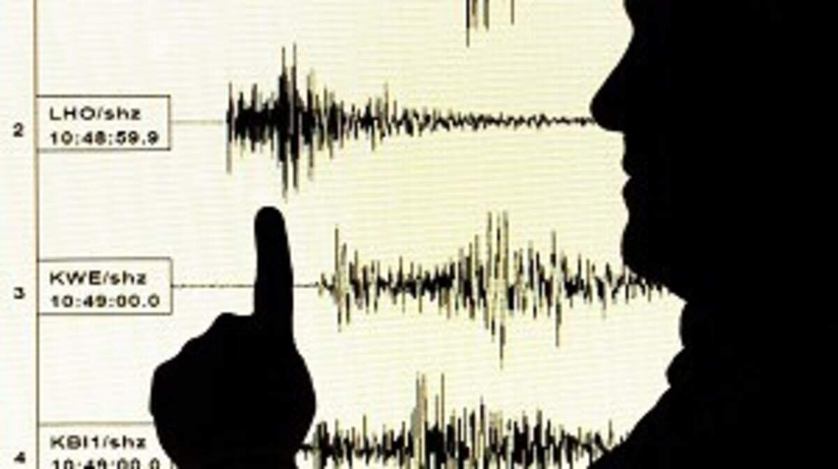 Strong quake hits western Indonesia | Irish Independent