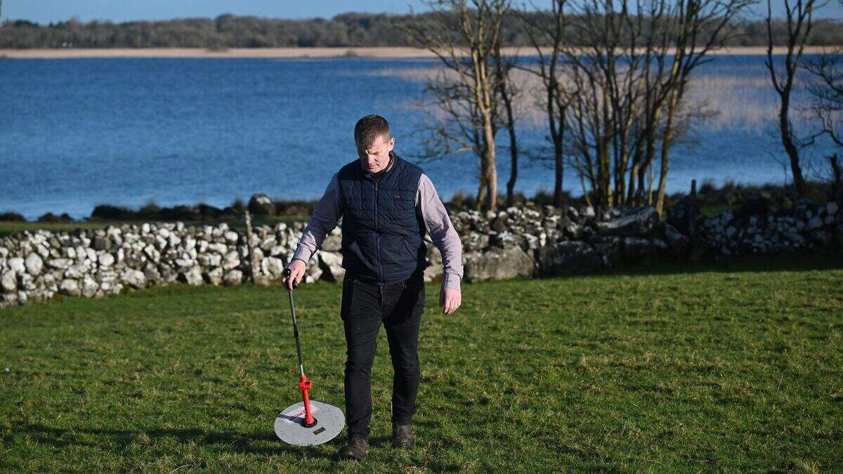 Tips for grassland management on a fragmented farm | Irish Independent