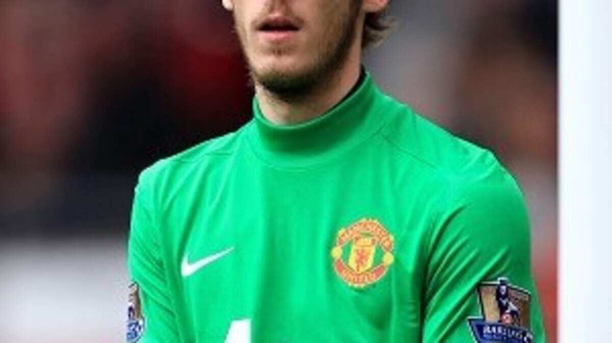 Shilton: Derby is acid test for De Gea | Irish Independent