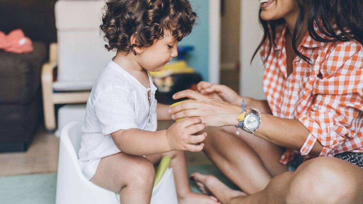 Dr David Coleman: Starting potty training? Here’s how to set your ...
