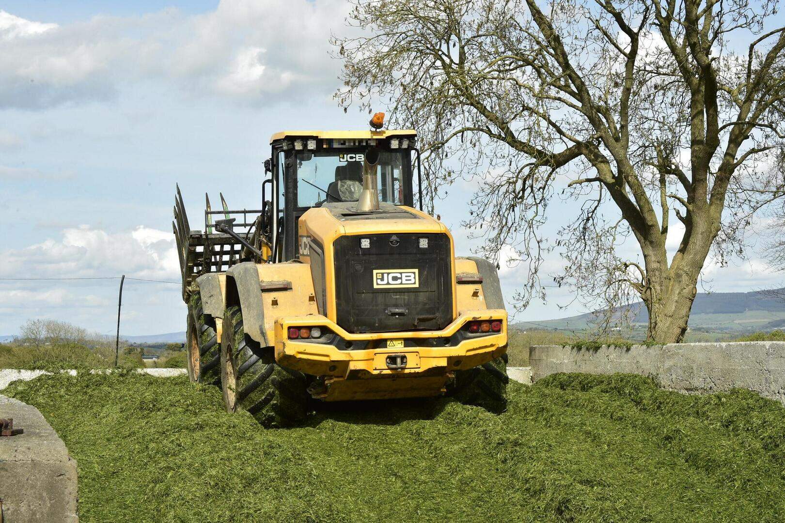 Eamon O’Connell: Silage mould can be an invisible killer – here’s how ...