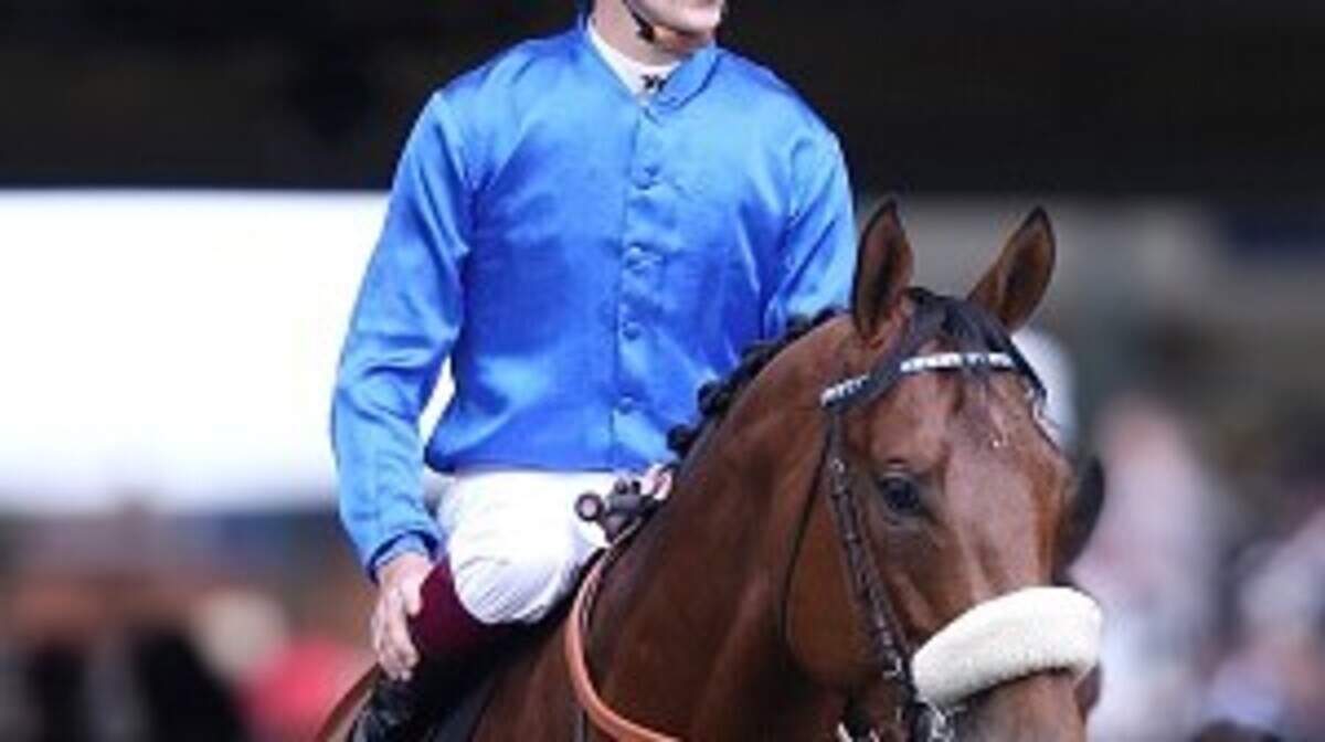 Botti considers Curragh raid | Irish Independent