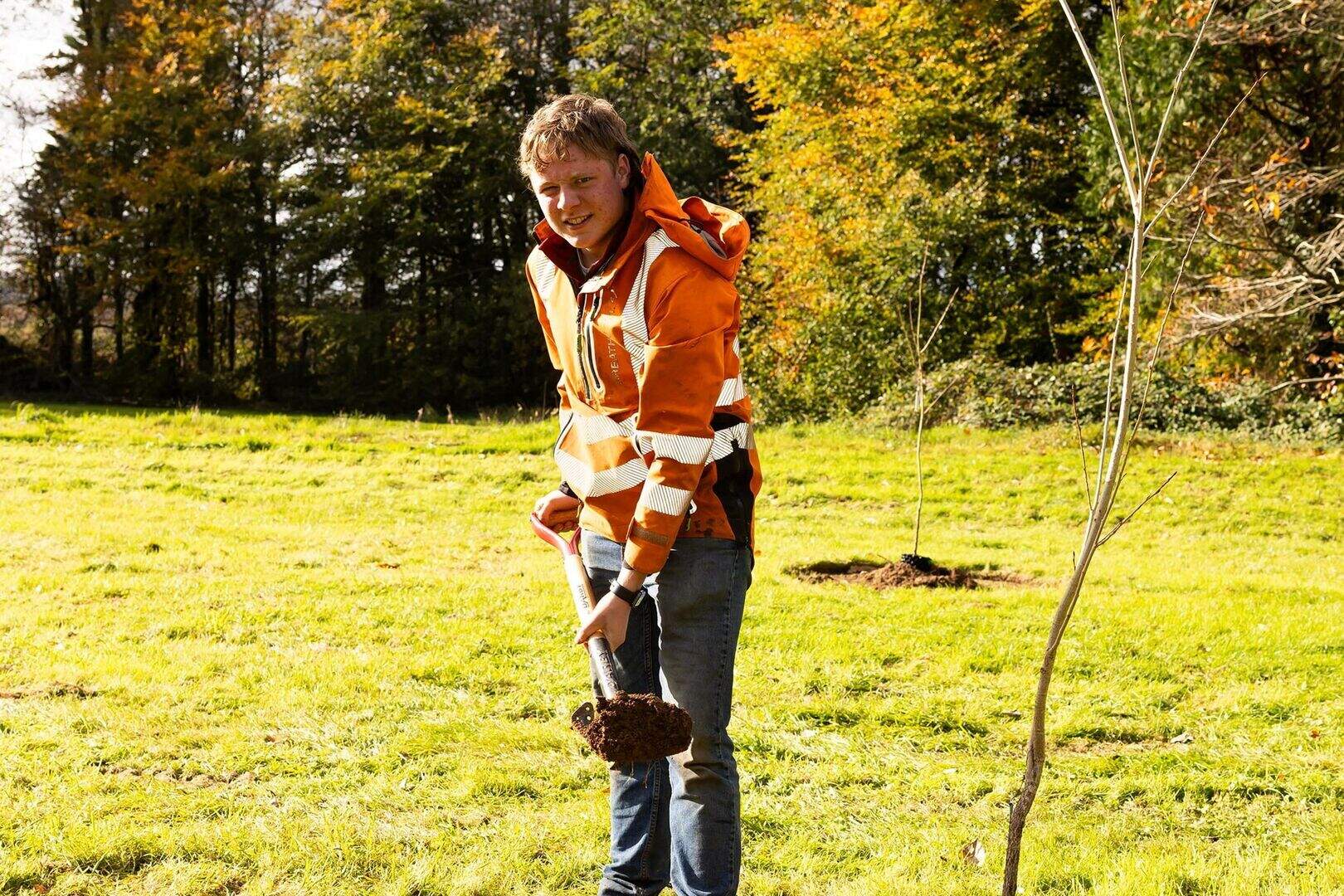 Endangered trees from across Europe planted in Wexford conservation ...