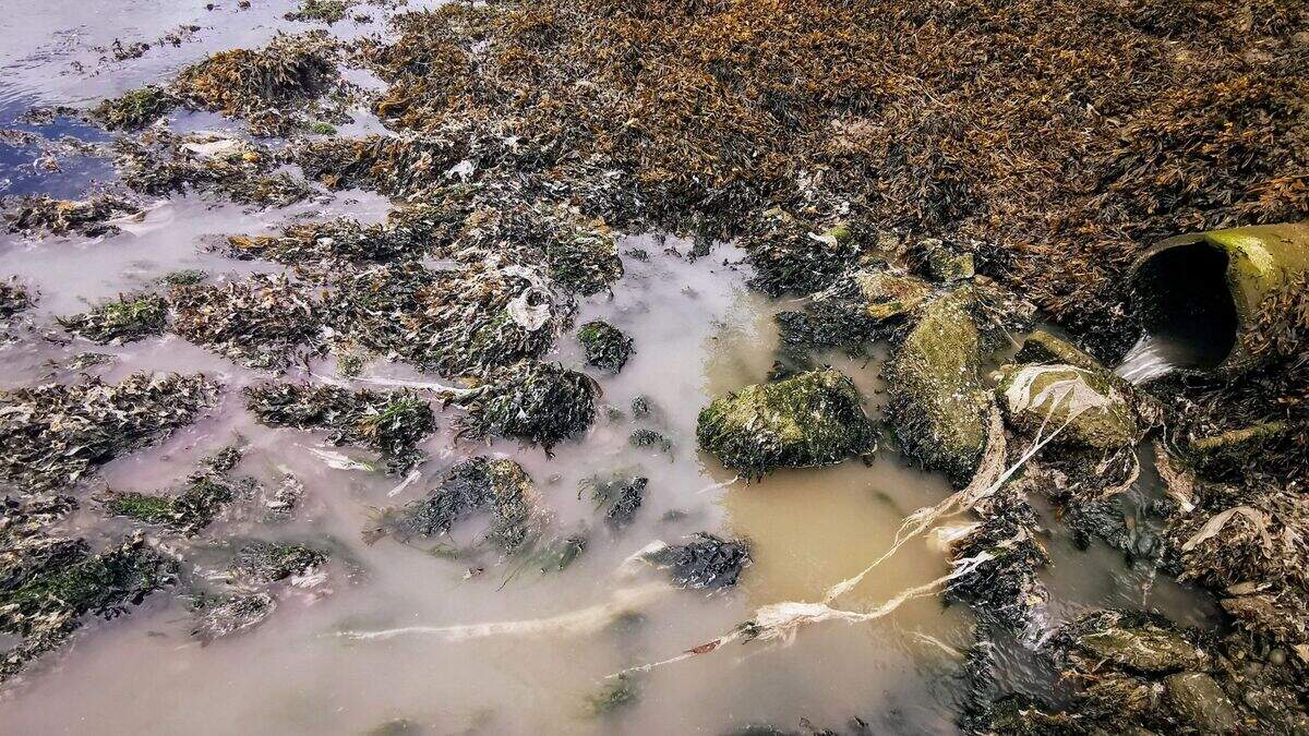 EPA finds pumping station near Blackrock village is “non-compliant” and ...