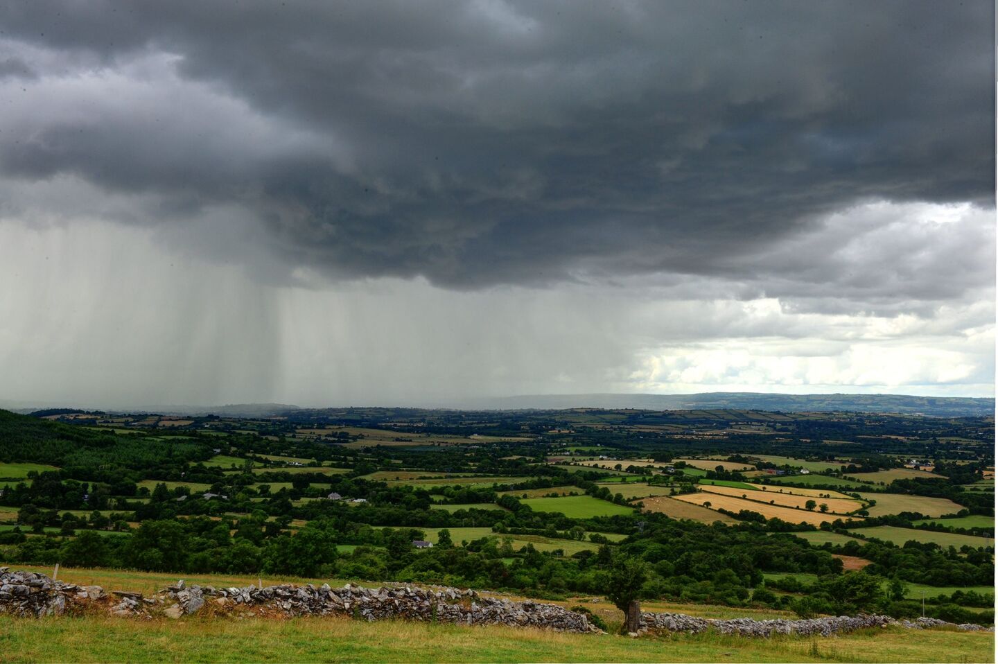 Farmland prices set to rise again in 2026, but outlook turns more ...