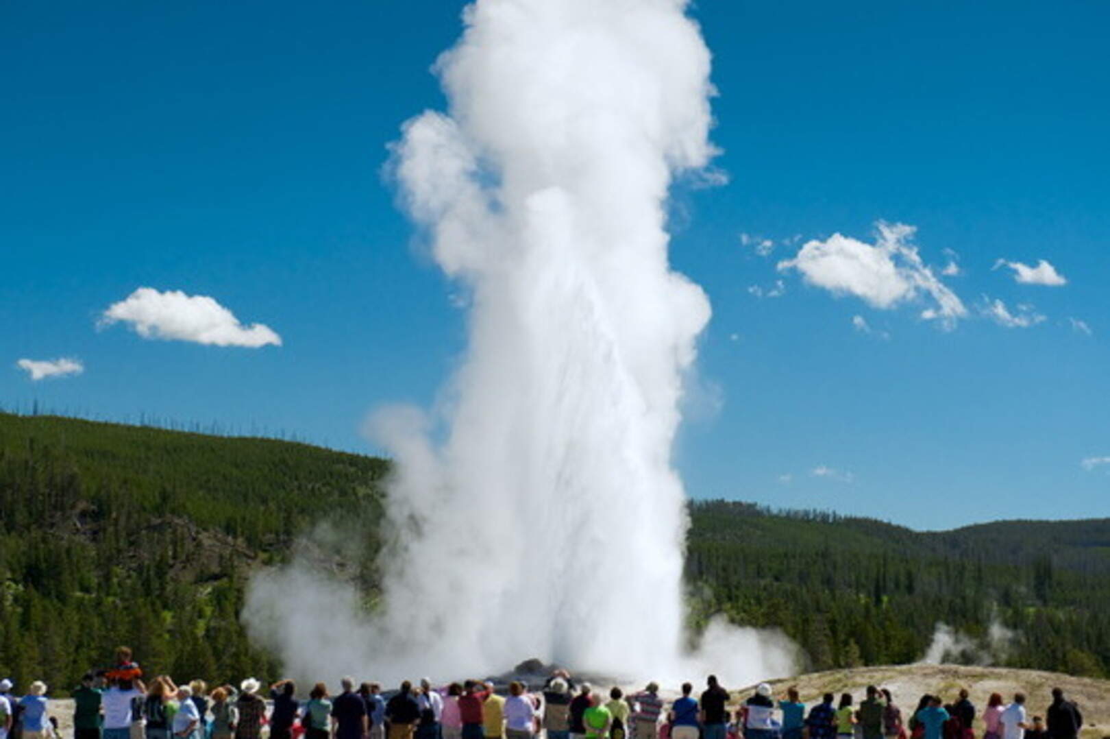 Yellowstone: Walk on the wild side | Irish Independent