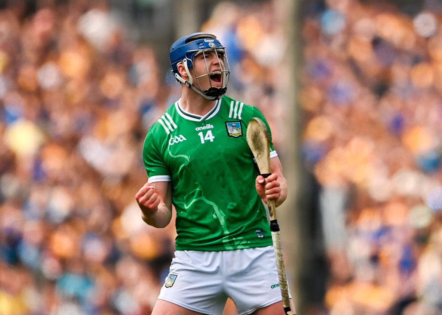 Colm Keys: Limerick bring ferocity and class against Clare to lay down ...