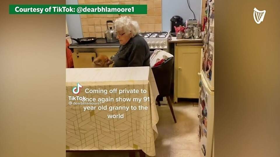 Kildare granny caught having adorable conversation with beloved dog ...