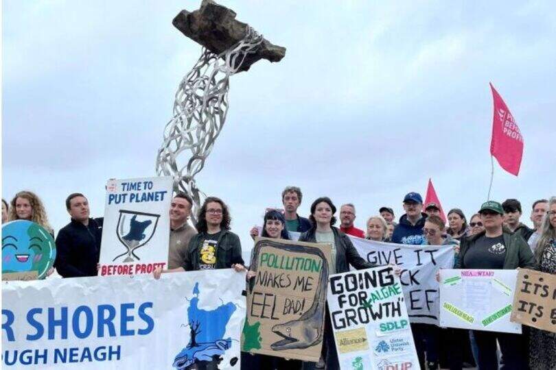 ‘It’s in total collapse’: Activists call for urgent action to tackle ...