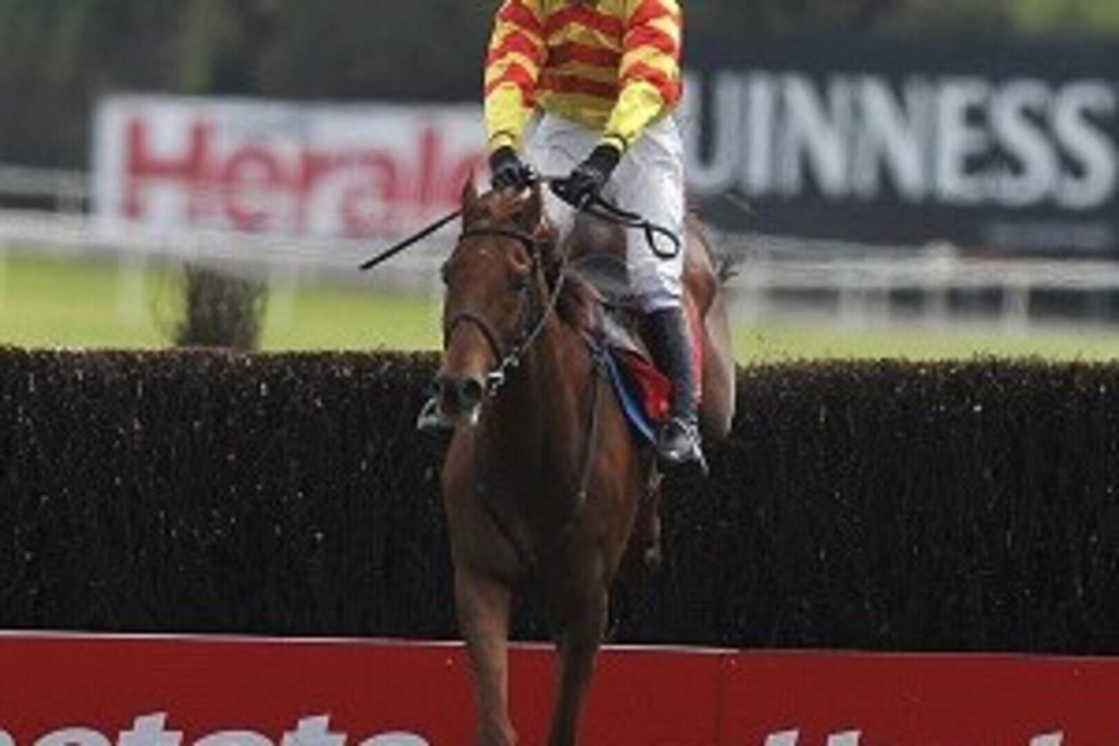 China strikes Punchestown gold | Irish Independent