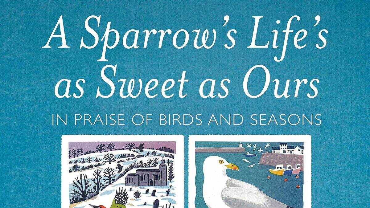 A Sparrow’s Life as Sweet as Ours: Paying puffinage and a flock of ...