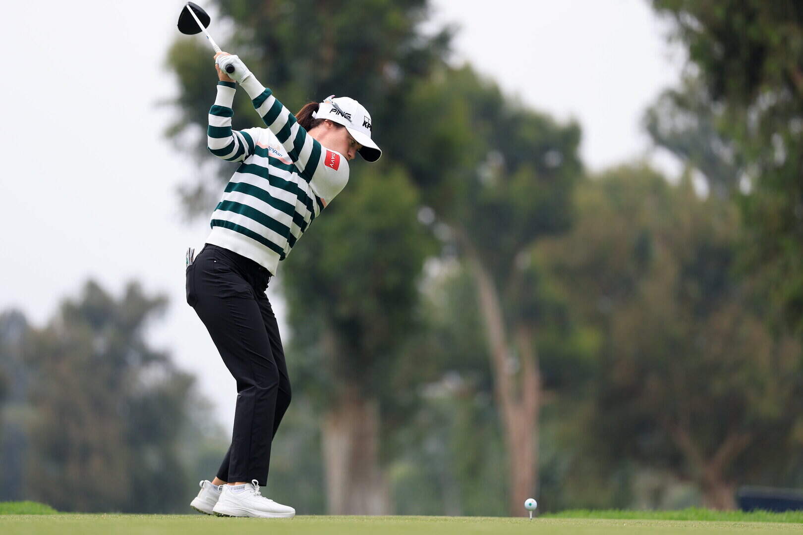 ‘He’s gone down every rabbit hole’ - Pádraig Harrington inspiring Leona ...